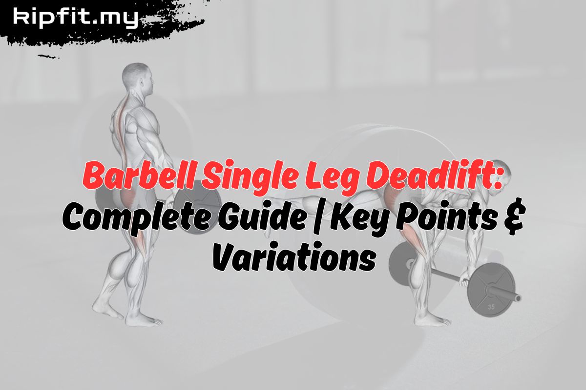 Barbell Single Leg Deadlift | Form Breakdown & Progressions – kipfit.my