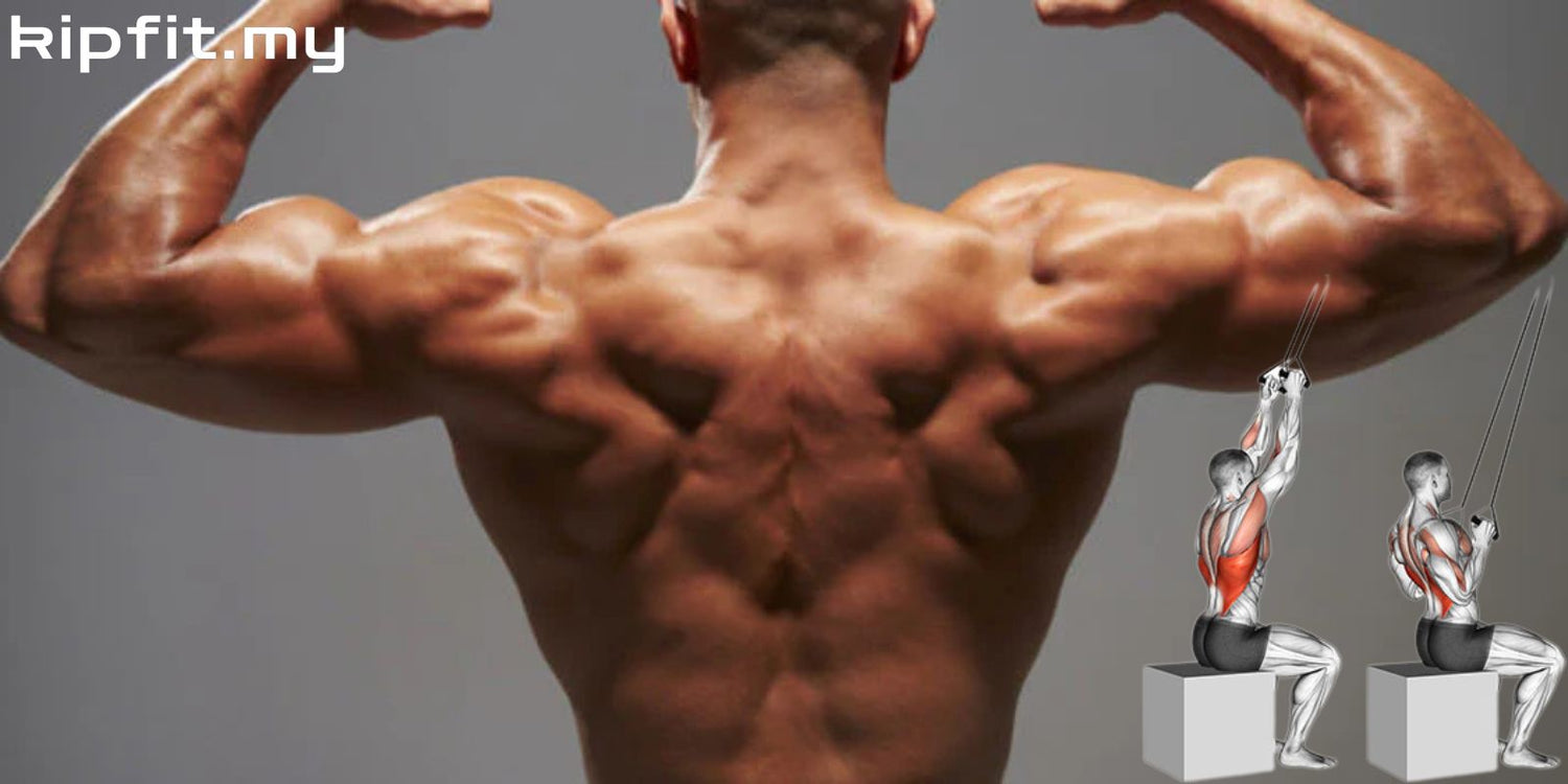 How to Build a Strong Back at Home: 9 Powerful Exercises – kipfit.my