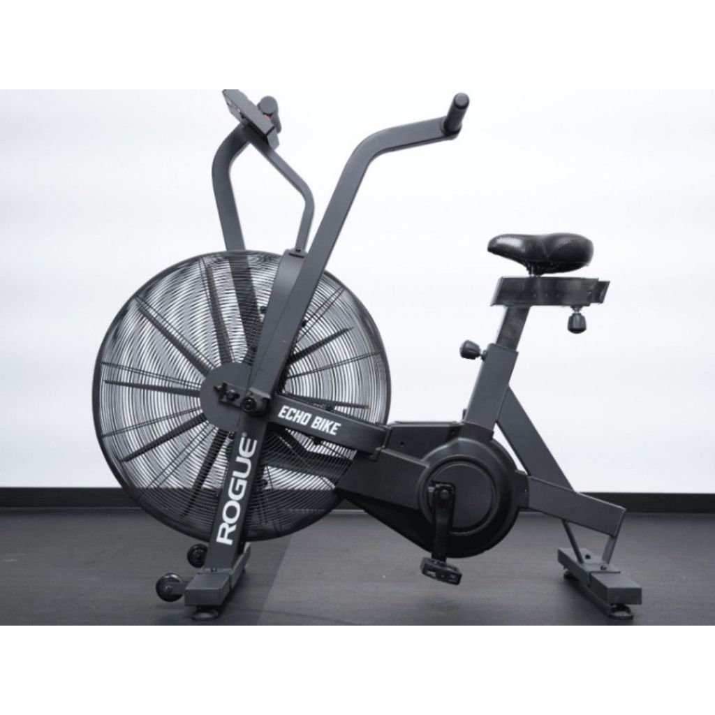 ROGUE ECHO BIKE V3.0 – kipfit.my